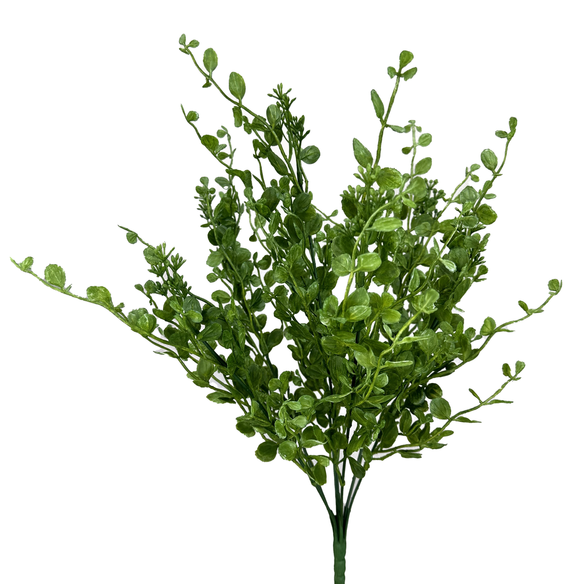 19" Plastic Boxwood Bush – Alexander and Company