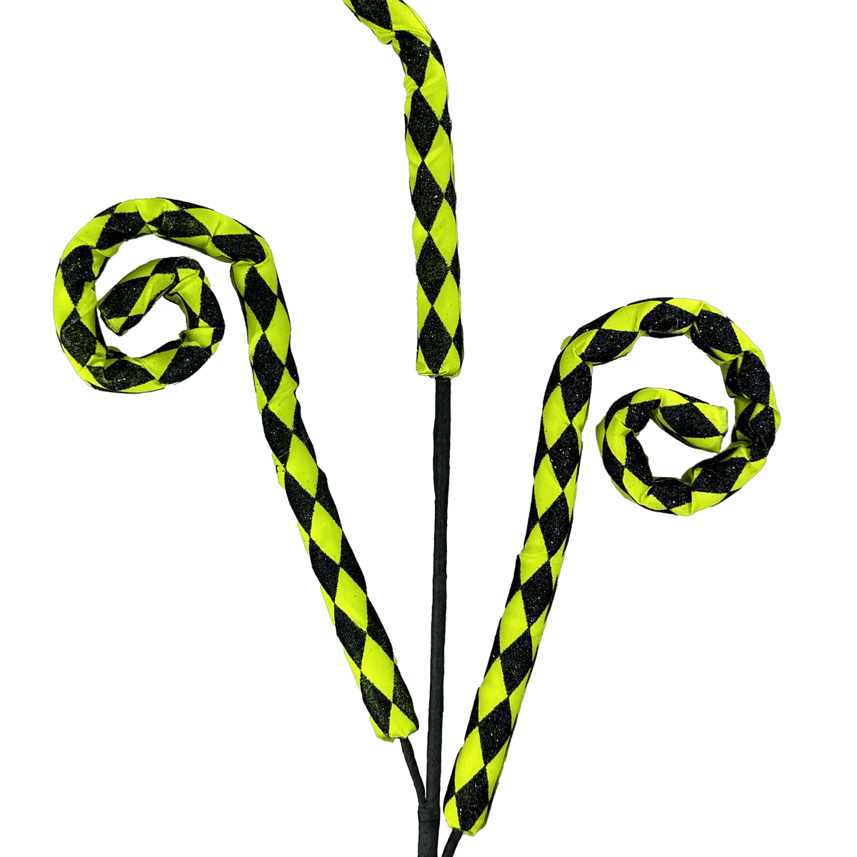 Harlequin Curly Spray – Alexander and Company