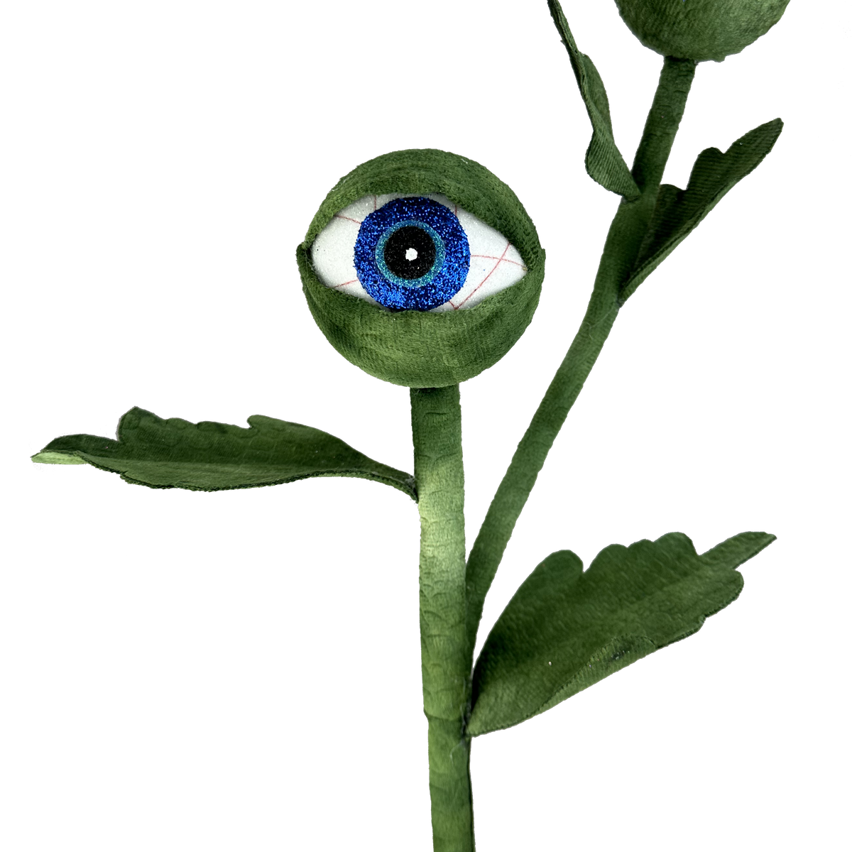 Carnivorous Plant Spray – Alexander and Company