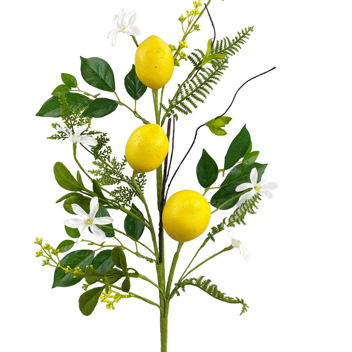 28" Lemon Spray – Alexander and Company