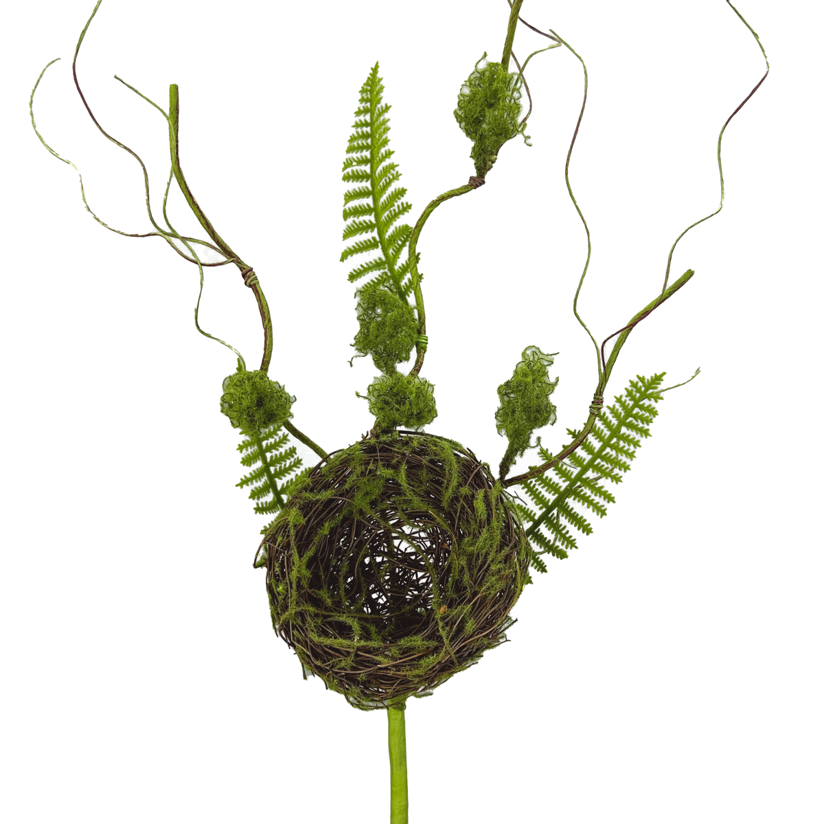 26" Moss Birdnest Spray – Alexander and Company