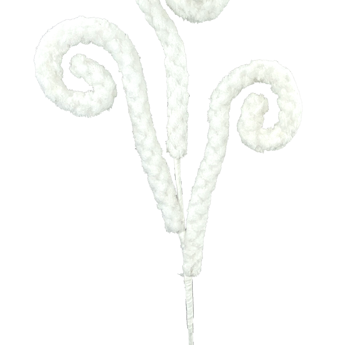 White Spiral Curly Spray – Alexander and Company