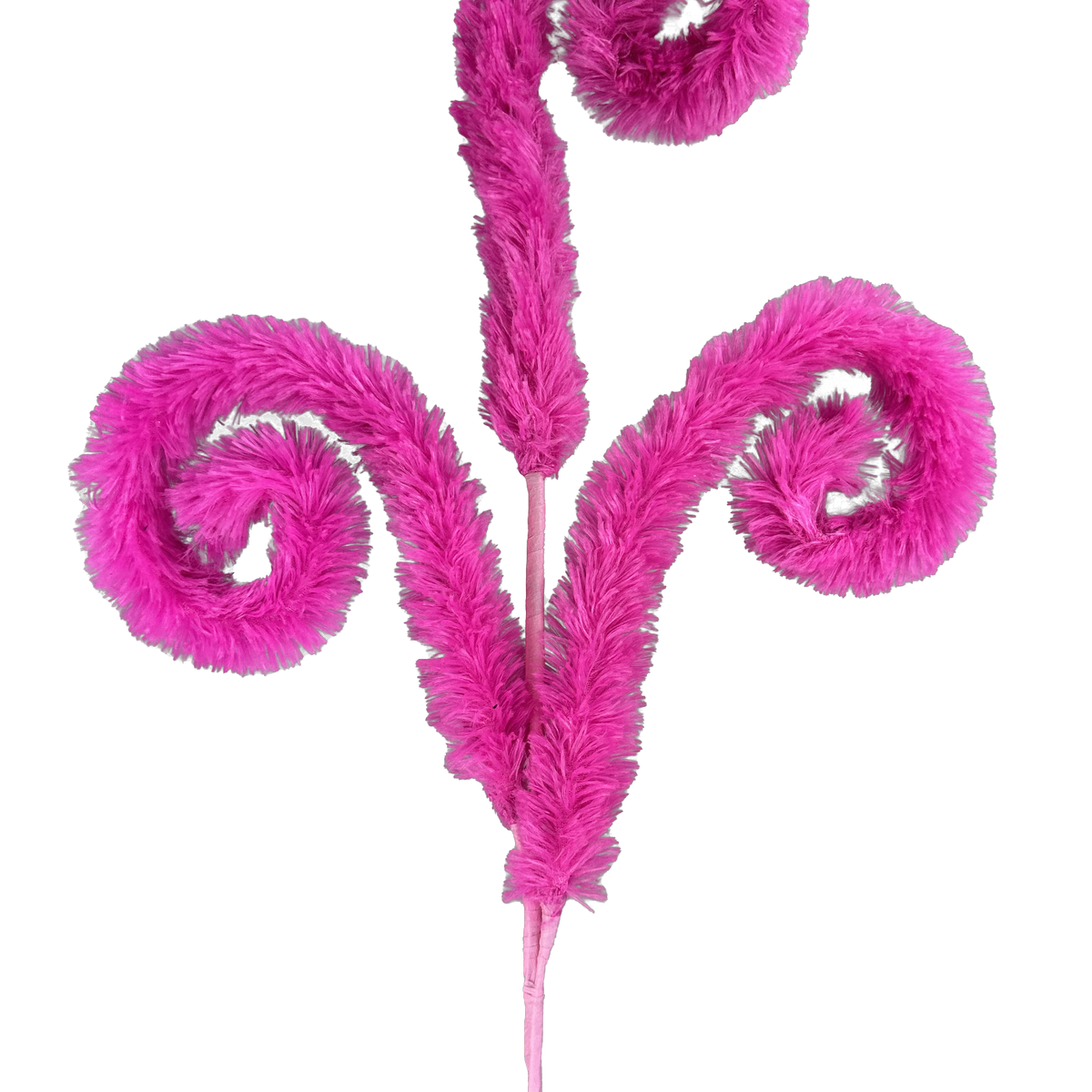 Pink Fury Curly Spray – Alexander and Company