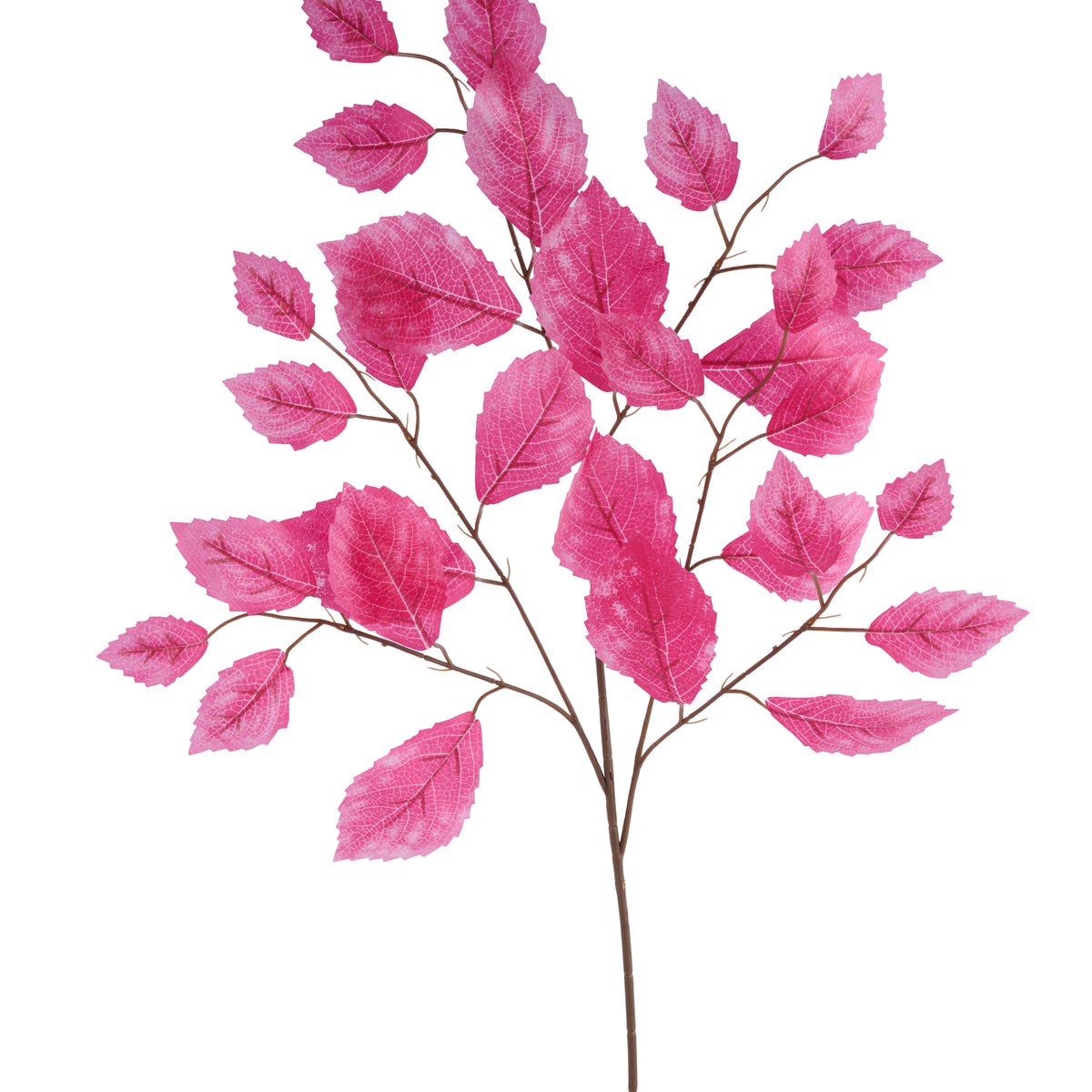 28"L Rose Leaf Spray – Alexander and Company