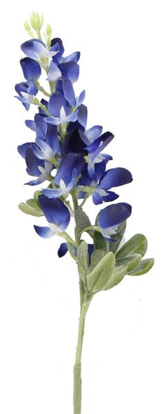 18"L Blue Bonnet – Alexander and Company