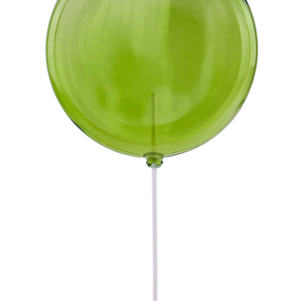 6" x 14" Clear Lime Lollipop with Stick (Copy) – Alexander and Company